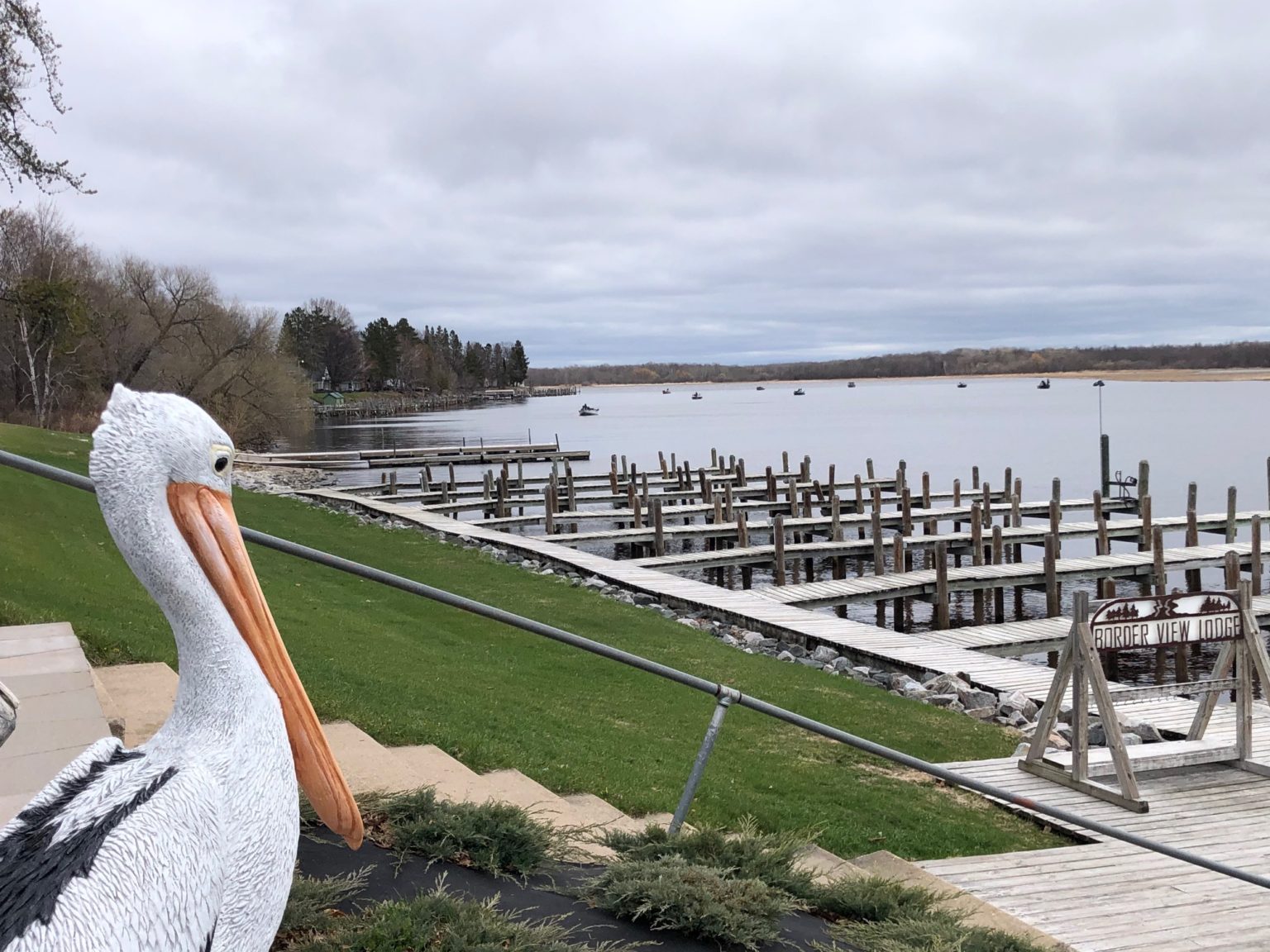 We have been open for cabin rental for over a week now - Border View Lodge